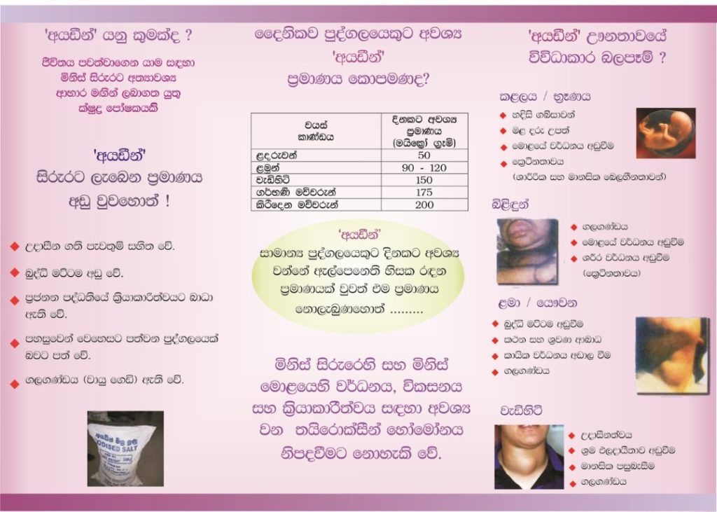 Leaflets – Nutrition Division